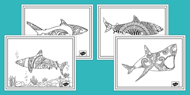 free coloring pictures of sharks