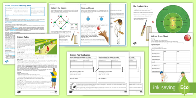 Cricket 8: Evaluation Teaching Ideas (teacher made)
