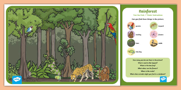 Rainforest - Can You Find? Poster and Prompt Pack