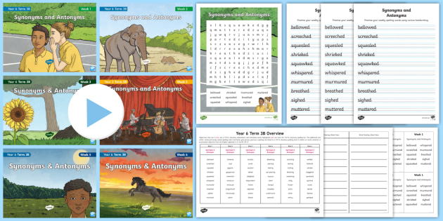 Year 6 Term 3B Bumper Spelling Pack (teacher made)