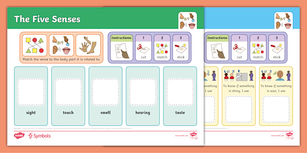 Human Body Parts Matching Worksheets Worksheets Samples