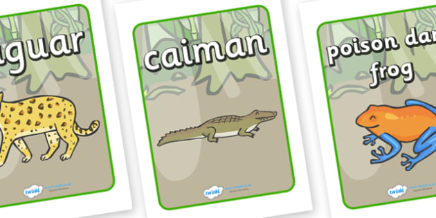 Jungle & Rainforest Display Posters (Jungle Background)