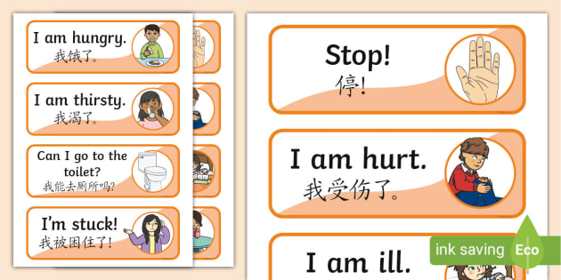 EAL Survival Vocabulary Cards - English/Mandarin Chinese
