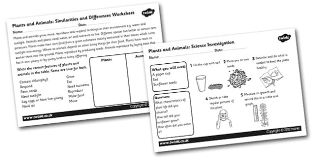 Plants and Animals Similarties and Differences and Science Investigation