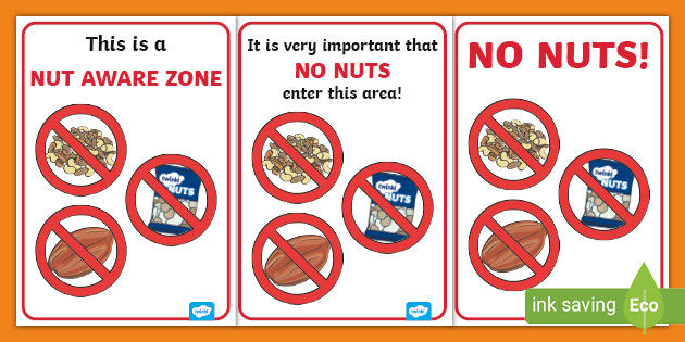 Nut Free Zone Poster (teacher made)