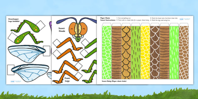Create Your Own Insect Paper Chain Craft - insects, animal