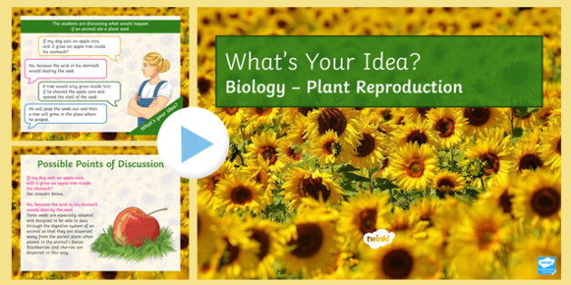KS3 Plant Reproduction What's Your Idea? PowerPoint
