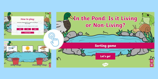 Pond Sciences | twinkl.com.au