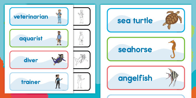 The Aquarium Dramatic Play Word Cards (teacher made)