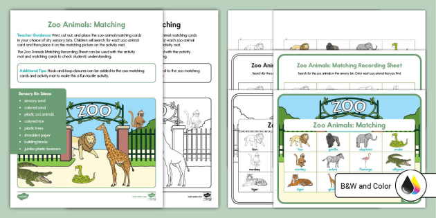 Zoo Animals Sensory Bin Matching Activity Mat