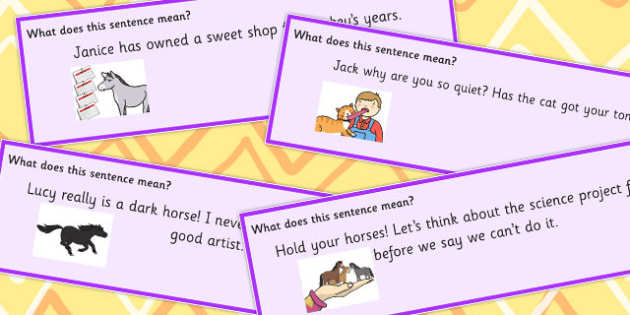 Animal Idioms Sentences Set 2 (teacher made)