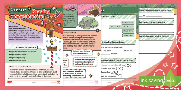 Reindeer Reading Passages | twinkl.com.au
