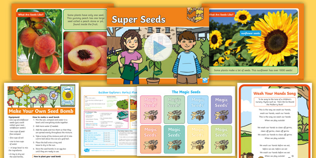 Outdoor Explorers EYFS Autumn Lesson 3: Super Seeds Lesson Pack