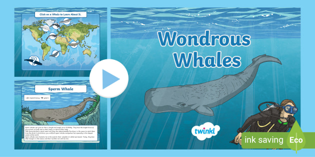 Wondrous Whales Powerpoint (teacher made)