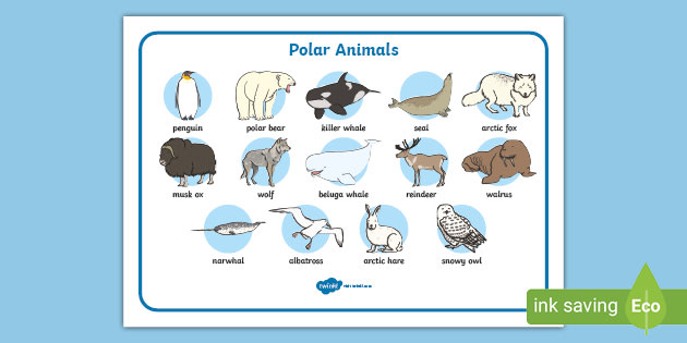 FREE! - Polar Animals Word Mat (teacher made)