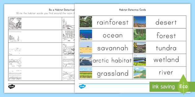Habitats Read and Write the Room Activity