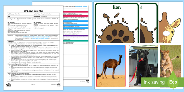 EYFS Footprints in the Mud Adult Input Plan and Resource Pack