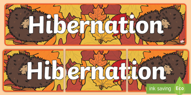Hibernation Display Banner (teacher made)