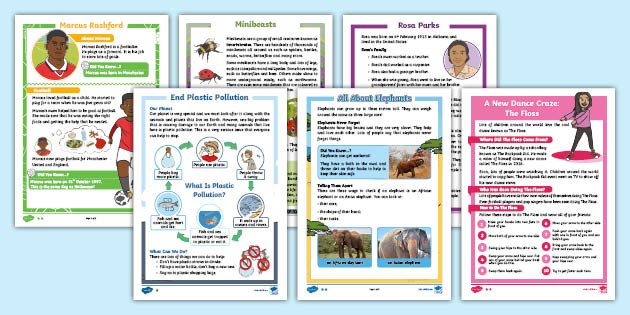 KS1 Non-Chronological Reports Resource Examples Pack