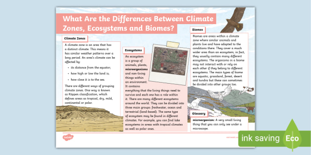 Climate Zones Geography | twinkl.co.uk