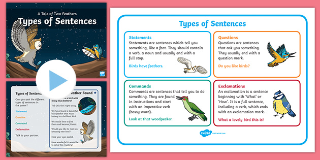 A Tale of Two Feathers: Types of Sentences English Lesson Pack Year 2