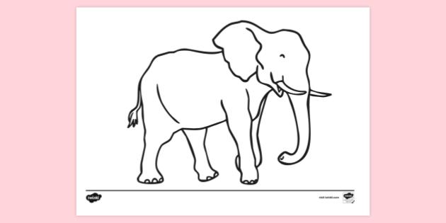 Elephant Colouring Sheet | Colouring Sheets