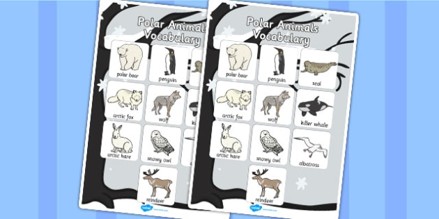 Polar Animals Vocabulary Poster
