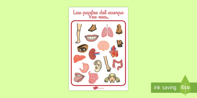 Veo veo: Las partes del cuerpo