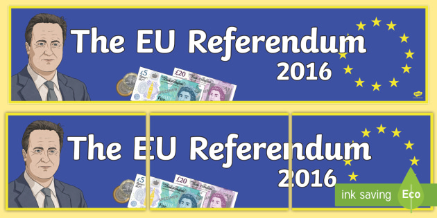 EU Referendum 2016 Display Banner