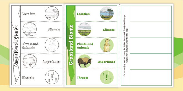Grassland Biome Flap Book (teacher made)