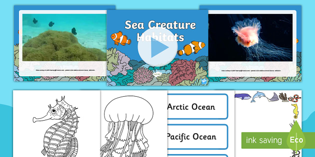 Oceans Resource Pack