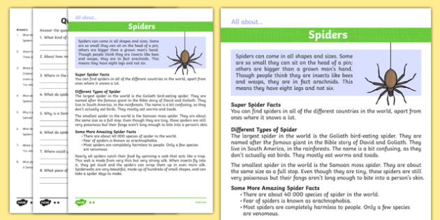 Spiders Differentiated Reading Comprehension Activity