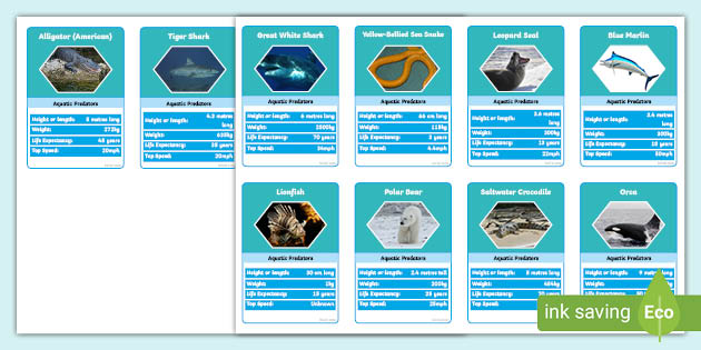 Top Cards: Aquatic Predators - Card Game - Primary Teaching Resources