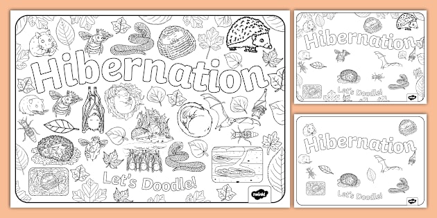 Hibernation Science Activities | twinkl.co.uk