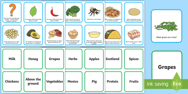 Food Facts Question and Answer Matching Cards (teacher made)