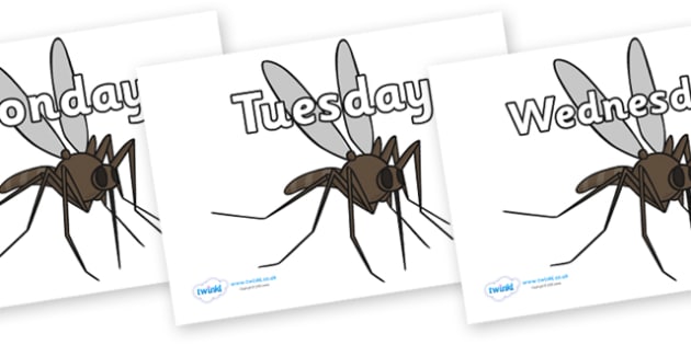 FREE! - Days of the Week on Mosquitos (teacher made)