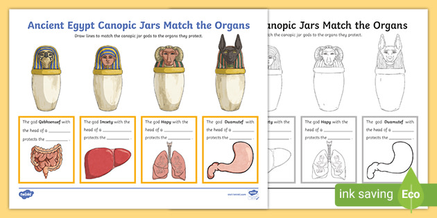 Ancient Egypt Canopic Jars: Match the Organs Activity
