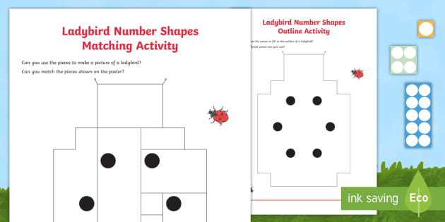 Ladybird Number Shape Outline and Matching Activity Pack