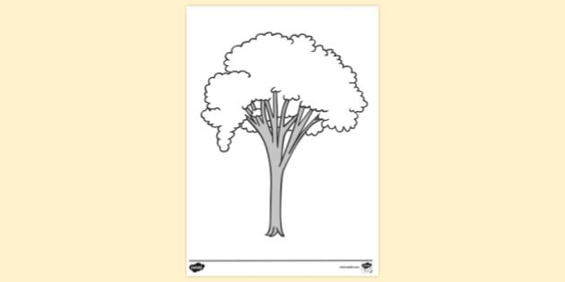 Elm Tree Colouring Sheet Colouring | Colouring Sheets