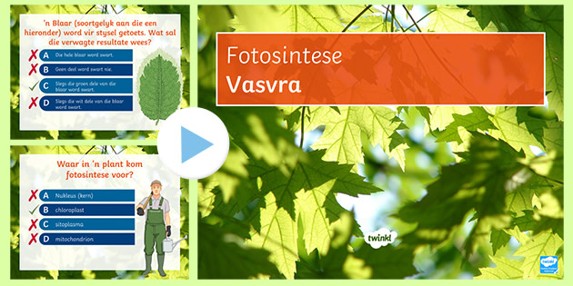 Fotosintese Vasvra PowerPoint (teacher made)