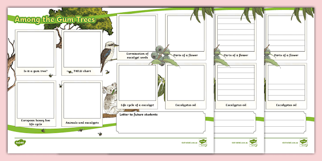 Among the Gum Trees Snapshots