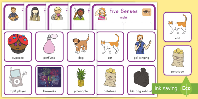 Five Senses Matching Cards - All About Me, Five Senses, See, Hear, Taste