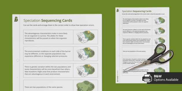 Biology: Speciation Sequencing Cards | GCSE | Beyond
