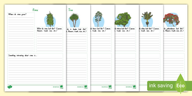 New Zealand Native Trees Worksheets (teacher made)
