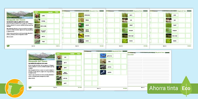 Búsqueda del tesoro: Flora y fauna