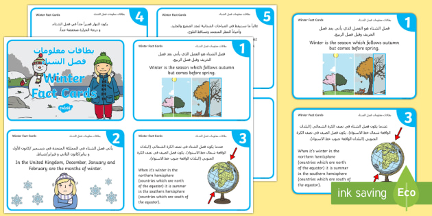 KS1 Winter Fact Cards Arabic/English