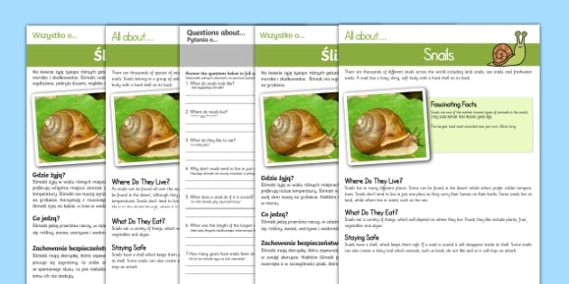 Snail Reading Comprehension English/Polish (teacher made)