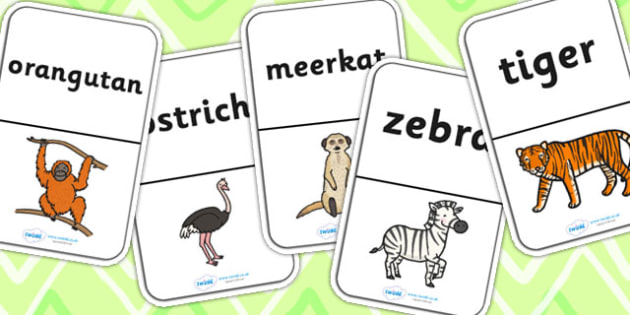 Animal Vocabulary Flash Cards for Sorting - ESL Animals Resources