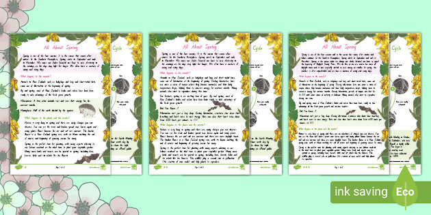 NZ Spring Differentiated Reading Comprehension (Level 3)