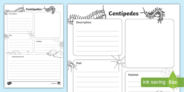 Centipedes - Fact File Template (teacher made)